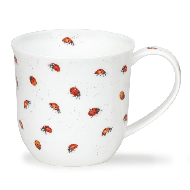 Dunoon - Cumbrae - Ladybirds - Red Sparrow Tea Company