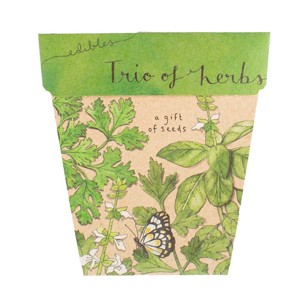 Sow 'n Sow - Gift of Seeds - Trio of Herbs - Red Sparrow Tea Company